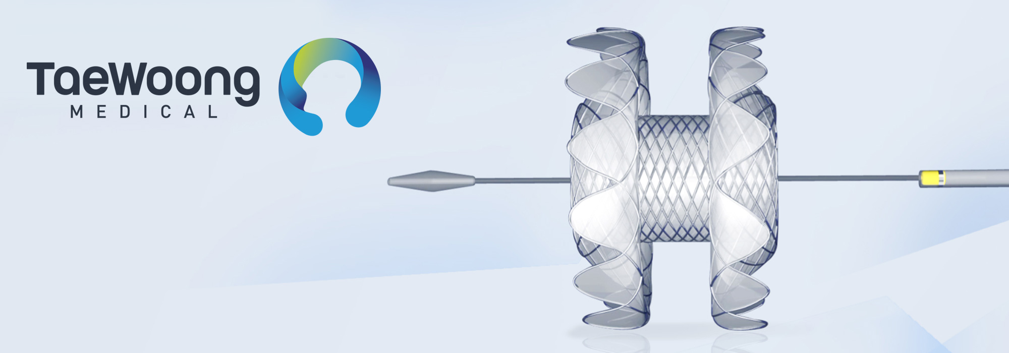 Productos Taewoong | GRUPO C3